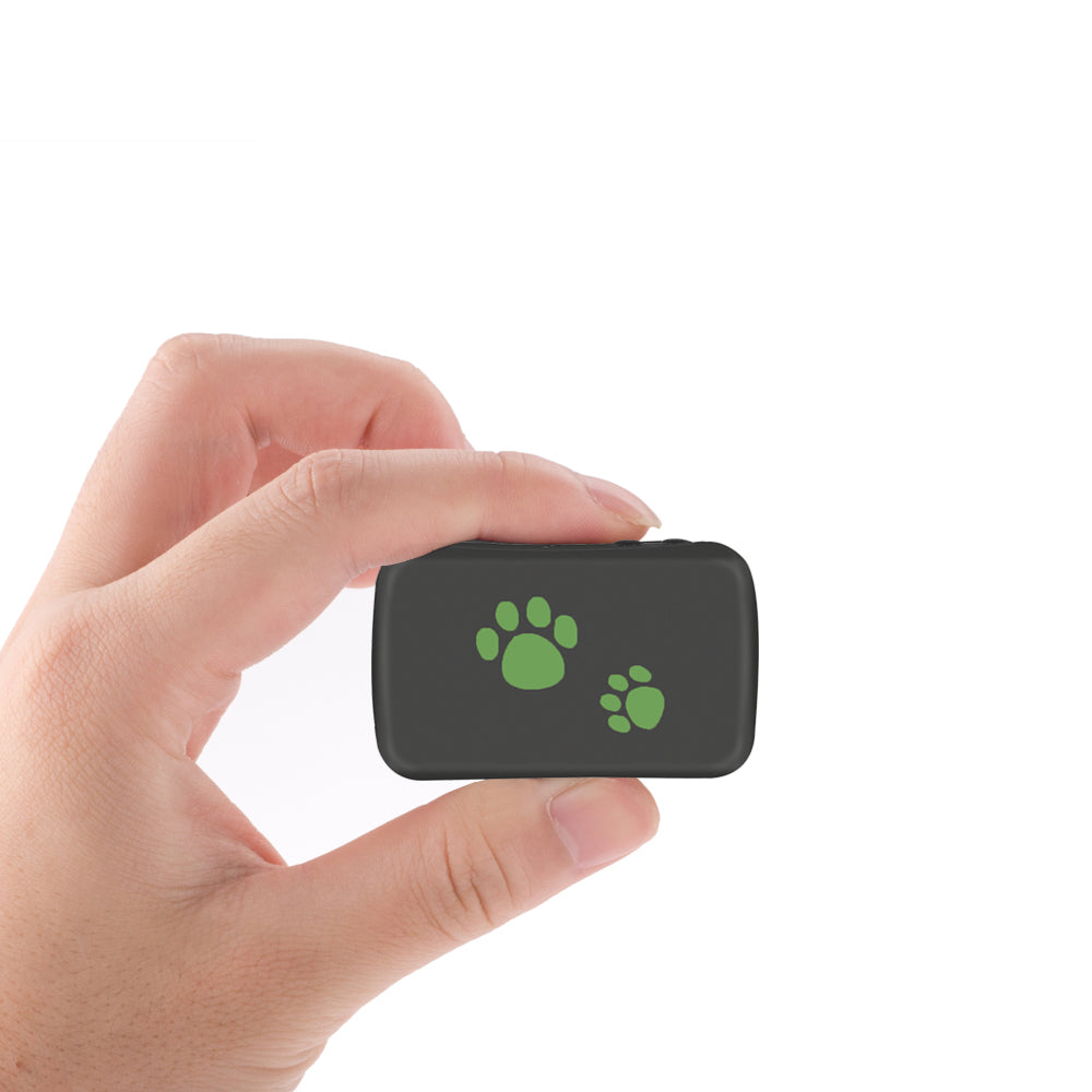 Pet PVC Material GPS Tracker Anti-lost – Passion's CozyPetNest